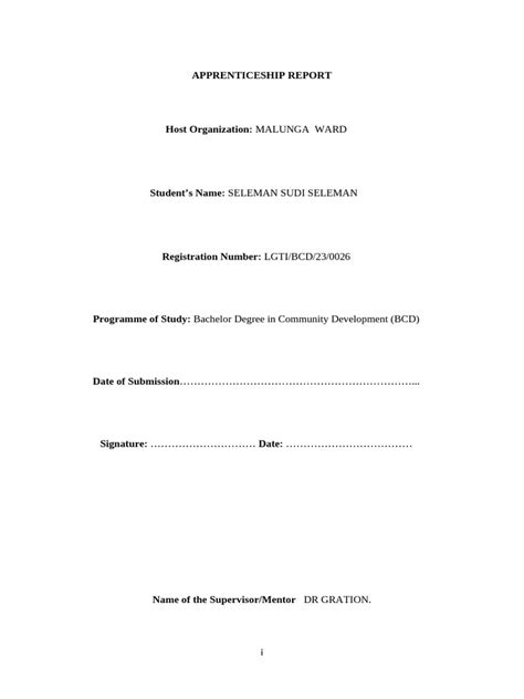 Seleman Report Pdf Apprenticeship Mentorship