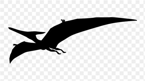 Dinosaur Flying Images Free Photos Png Stickers Wallpapers And Backgrounds Rawpixel