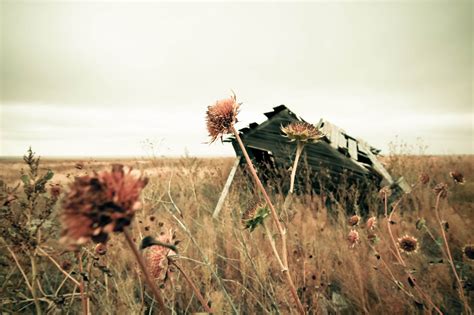 Jay Halseys Photos And Galleries 500px