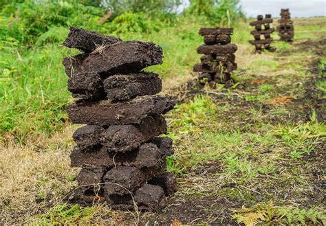 What Is Peat And What Does It Have To Do With Whisky Thrillist