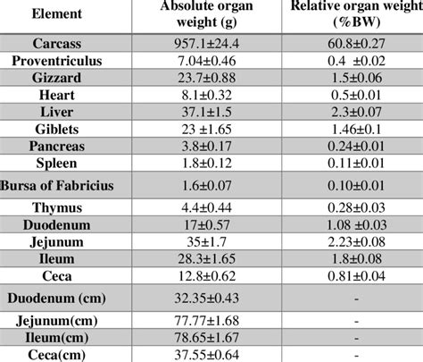Carcass And Internal Organ Measurements Of The Broiler Chickens At 35 Download Scientific