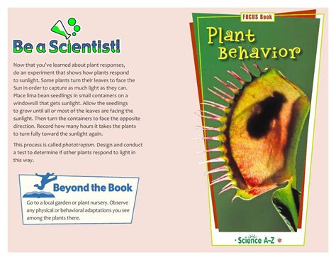 Plant Behavior By Laura Flipsnack
