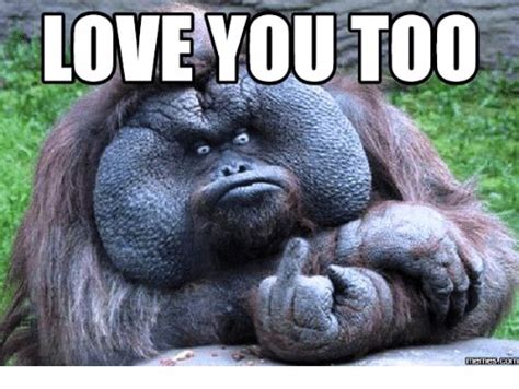 Funny I Love You Too Meme