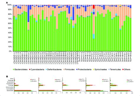 Percentage Bar Diagram A And Composite Bar Diagram B Showing