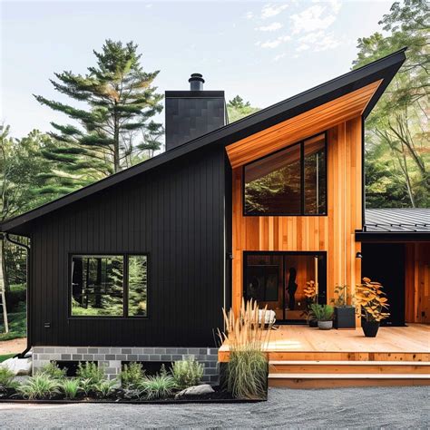 Modern Black And Wood House Exterior