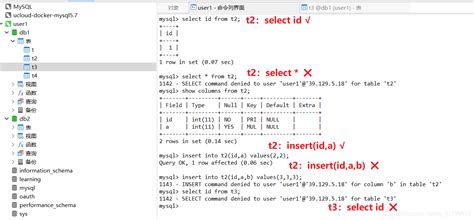 mysql如何进行权限管理，如何让不同的用户具有操作不同的数据库或表的权限？ 数据库表可以开不同权限 csdn博客