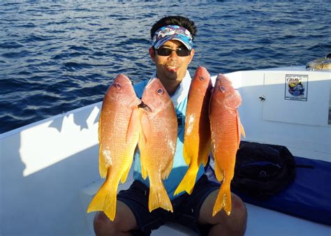 How To Catch Yellow Snapper