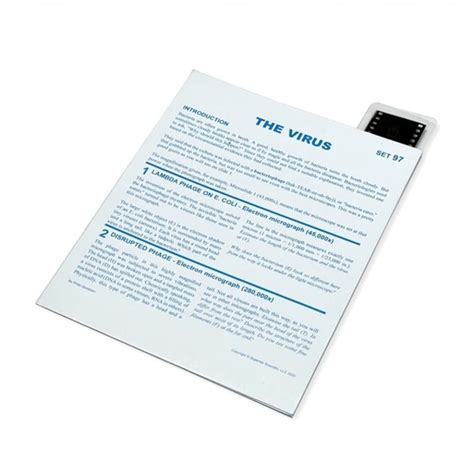 Supertek Microslide Virus Set Lesson Plan 6 5 X 8 In Slide 2 X 8 In