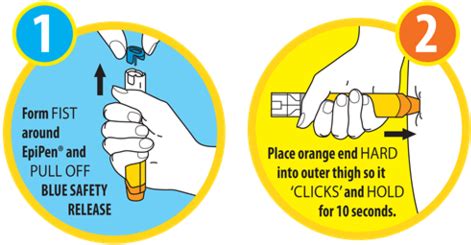 Free Epipen Clipart Download Free Epipen Clipart Png Images Free