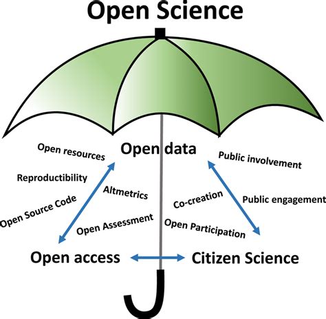 Os As An Umbrella Concept Note Source Figure Made By Lotta Tomasson