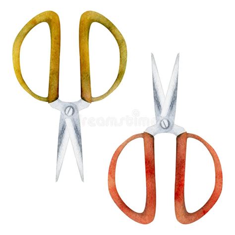 Hand Drawn Watercolor Illustration Sewing Craft Embroidery Supplies