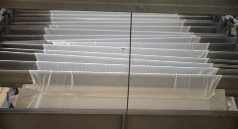 Cheese Making Process On Goat Farm Rocamadour Soft Goat Aoc Cheese