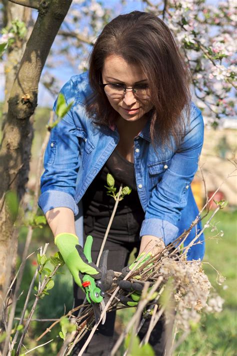 Guide On How To Prune Hydrangeas Herbvity