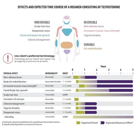 Transition Timelines By Doc Impossible