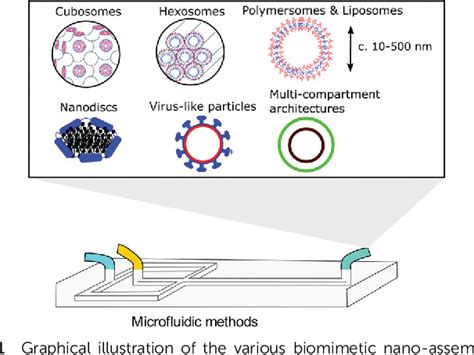 Figure 1 From Microfluidic Technologies For The Synthesis And Manipulation Of Biomimetic