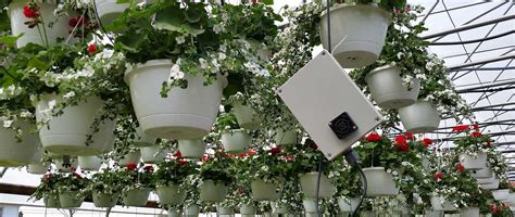 Greenhouse Humidity Sensor