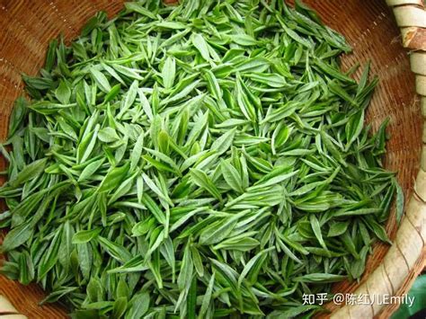 富硒茶是不是绿茶？ 知乎