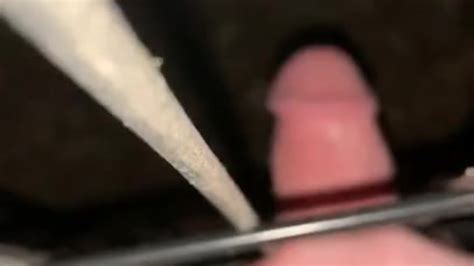 Having Sex With A Metal Fence Free Porn Videos Youporngay