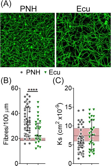 The Effects Of Eculizumab Treatment On Clot Structure A Download Scientific Diagram