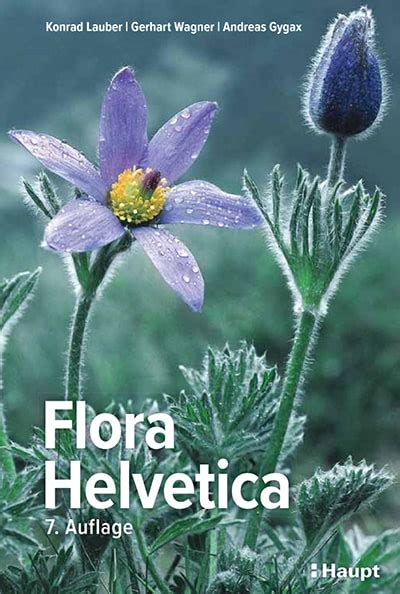 Taxonomy And References