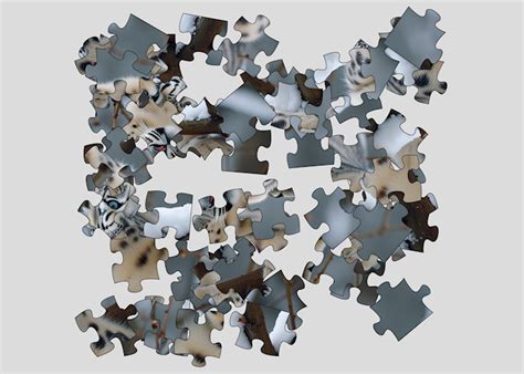 Puzzle Pieces