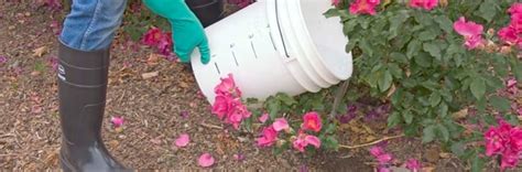 Neonicotinoid Pesticides Off The Shelf In January 2025 Pests In The