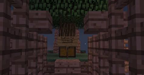 Skyblock For Noobies Screen Shot 1 Imgur