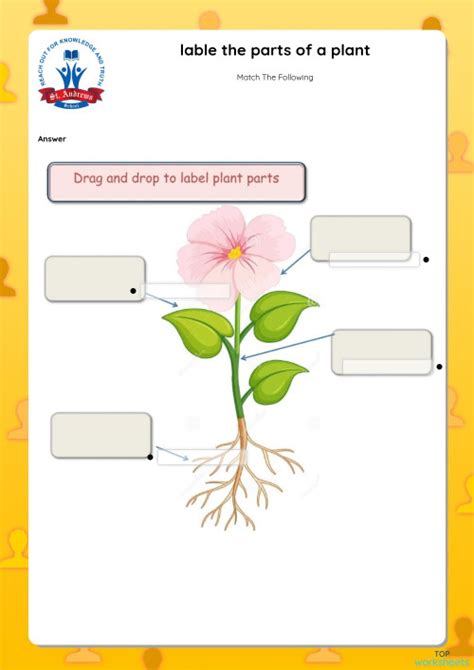 Lable The Parts Of A Plant Interactive Worksheet Topworksheets