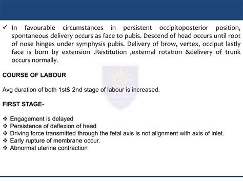 Occipito Posterior Position Ppt