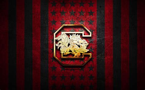 South Carolina Gamecocks Wallpapers Top Free South Carolina Gamecocks