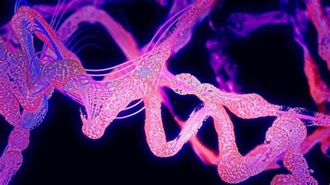 Proteins And Peptides Services Primera Analytical Solutions