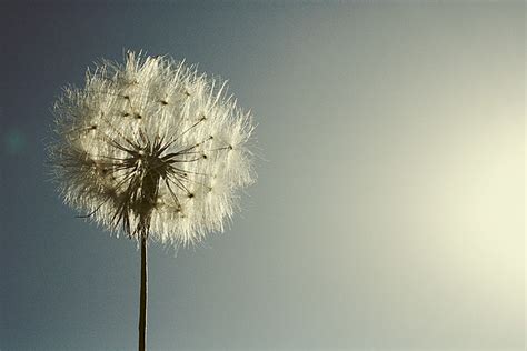 © André Bernardo André Bernardo Flickr