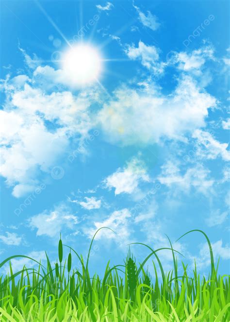 Spring Sunny Day Light Effect Grass Background Wallpaper Image For Free