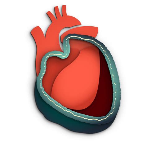Living With Recurrent Pericarditis What Is Pericarditis