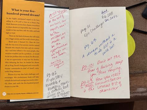 Chase The Lion Nicole Mcnamee