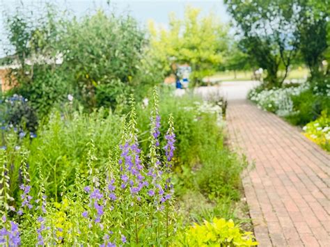 みんなで公園へ行ったよ！ そらいろぺんしる