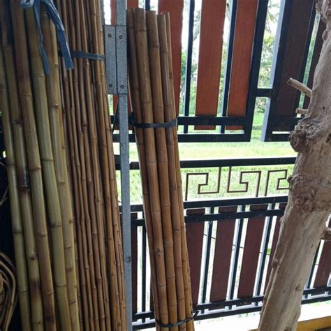 Jual Bambu Polos 2 Meter Diameter Besar Harga Perbatang Dekorasi Rumah Tongkat Pramuka Termurah