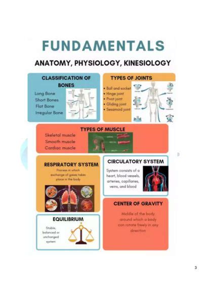 Cbse Class 11 Physical Education Chapter 8 Notes