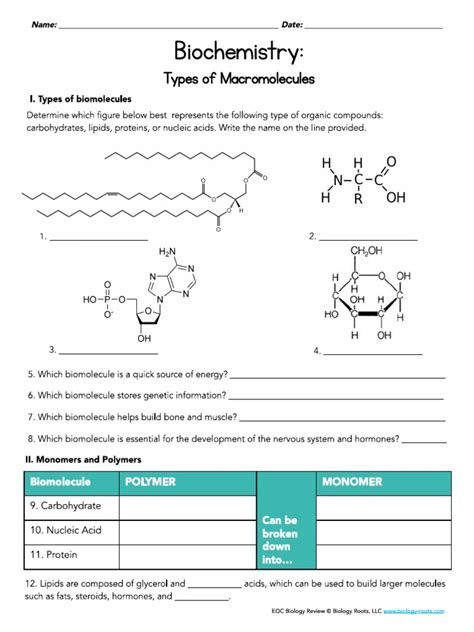 01 Biochemistry Macromolecules Pdf