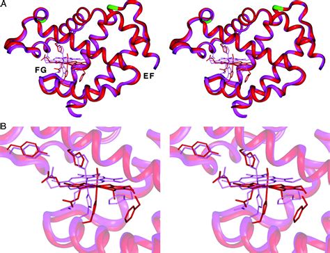 The Structure Of Carbonmonoxy Neuroglobin Reveals A Heme Sliding