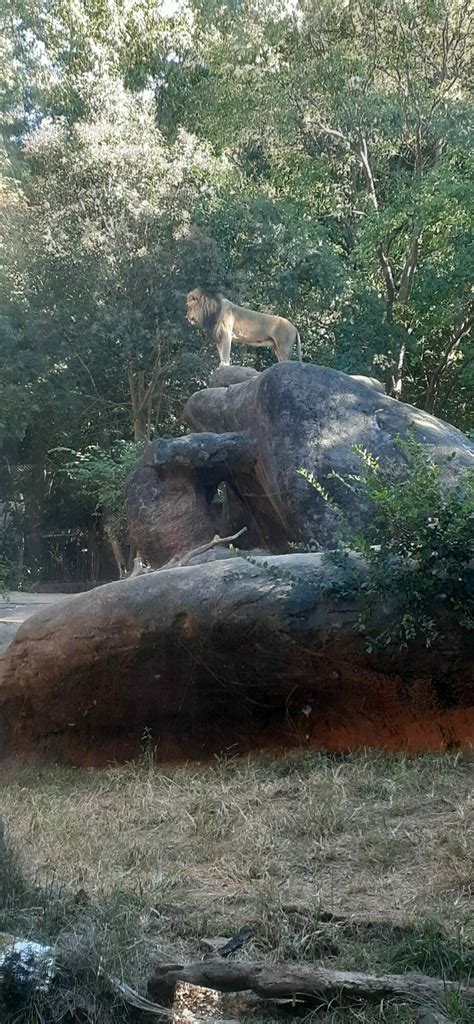 Conversations With Markayle Mcdaniel Voyage Atl Magazine Atl City Guide