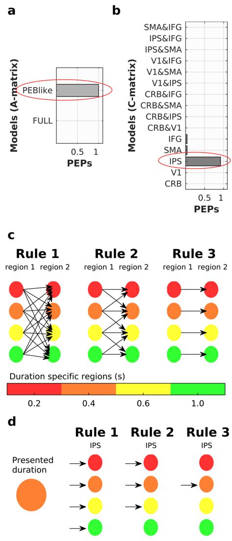 Bayesian Model Selection Bms Results And Rules Of Connectivity In A Download Scientific