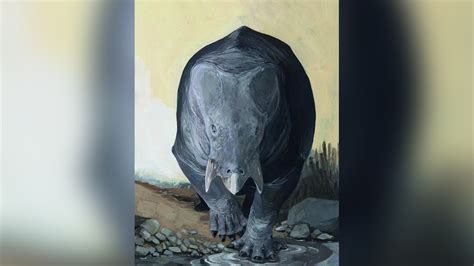 Dig Deeper Archaeology Pre Flood Find Of Synapsid