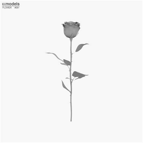 Pink Blooming Rose 3d Model Download Flowers On