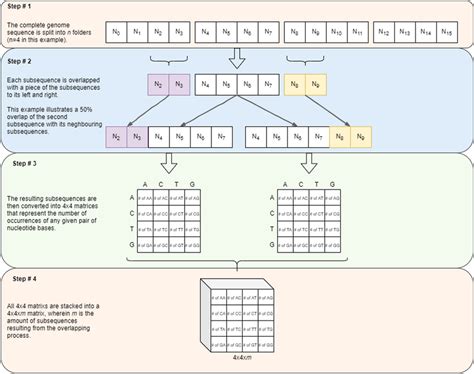 Steps Of The Proposed Method A New Technique For Representing Genome