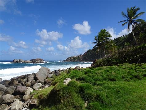 The Coolest Things To Do In The Kalinago Territory Dominica