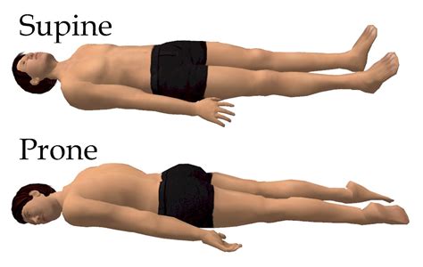 Supine Wiktionary