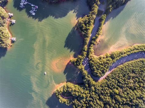 How Many People Have Died In Lake Lanier And Why Is It So Dangerous