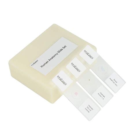 Prepared Human Tissue Anatomy Microscope Slides Set 17pcs Hand