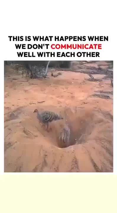 Ninad Khandagale Posted On Linkedin